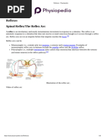 Grading Deep Tendon Reflexes Guide | PDF | Anatomical Terms Of Motion ...