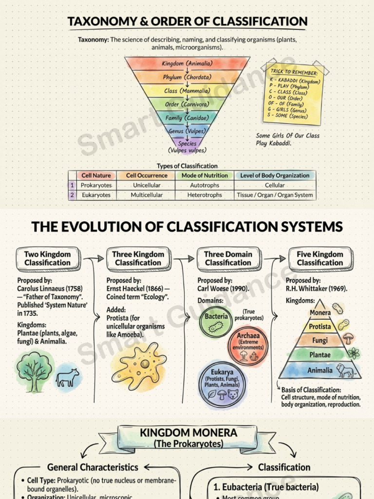 Classification of Organisms (English-edited) | PDF