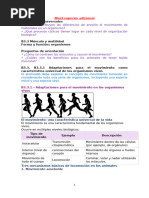 Ejemplos de Movimiento Ameboide | PDF | Músculo esquelético | Biología ...