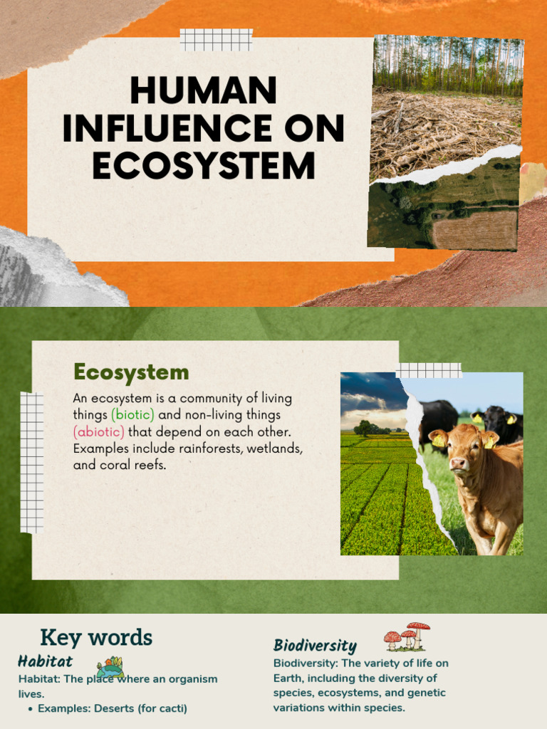 Human Influence on Ecosystem | PDF