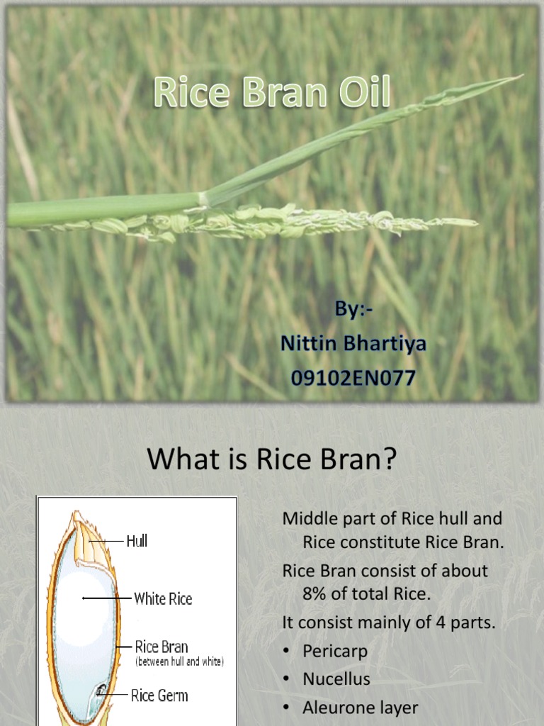 What is Rice Bran and Rice Bran Oil | PDF | Bran | Rice