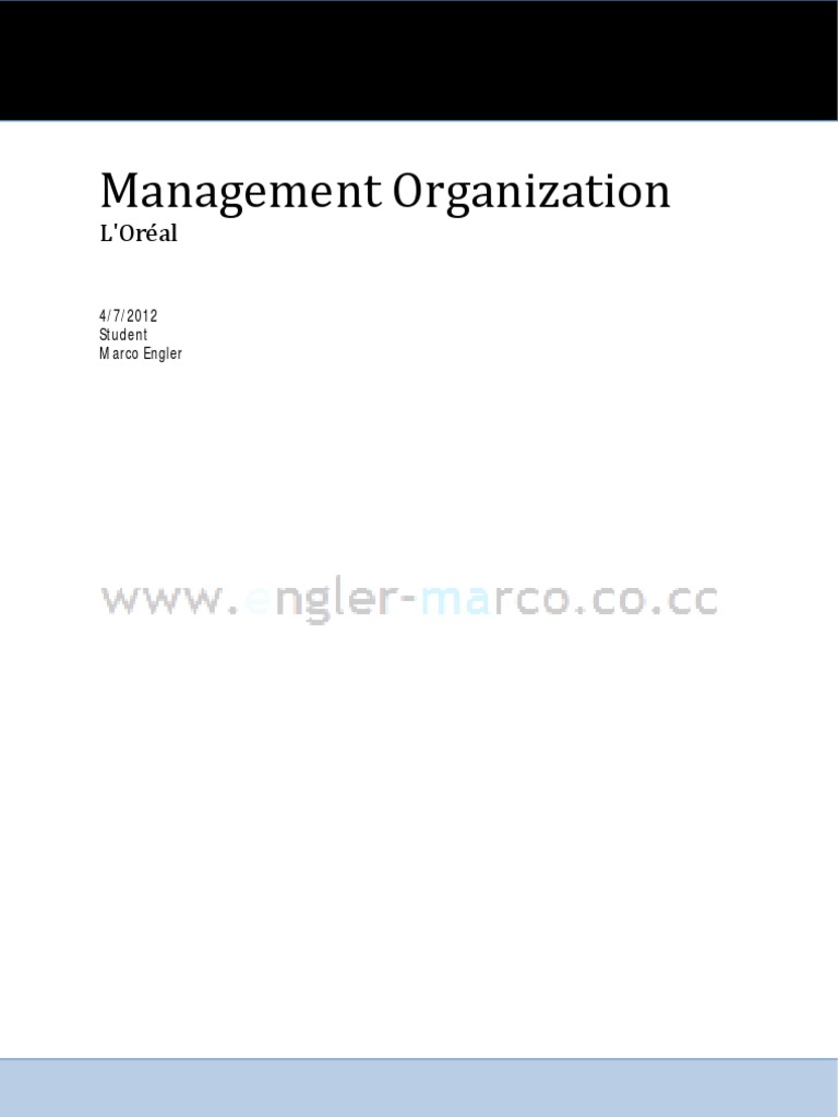 L'Oréal's Management Structure in Asia | PDF | Retail | Target Audience