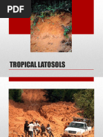 Latosol Soil: Composition and Characteristics | PDF | Soil | Organic Matter