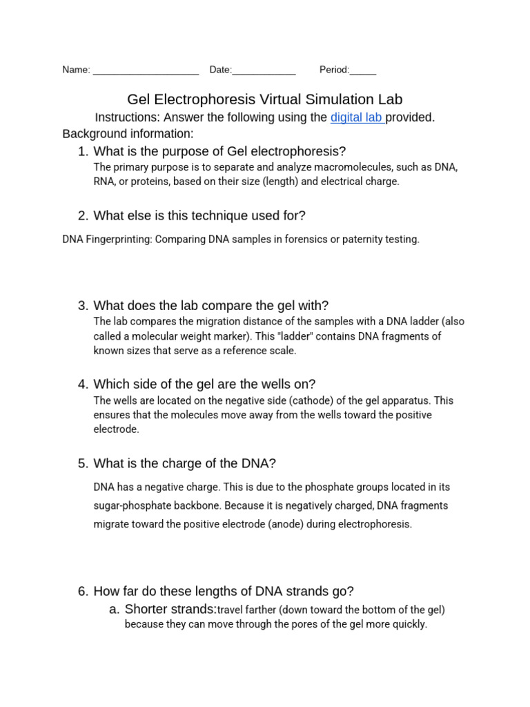 Camron Cox - Gel Electrophoresis Simulation Worksheet - 16378550 | PDF ...
