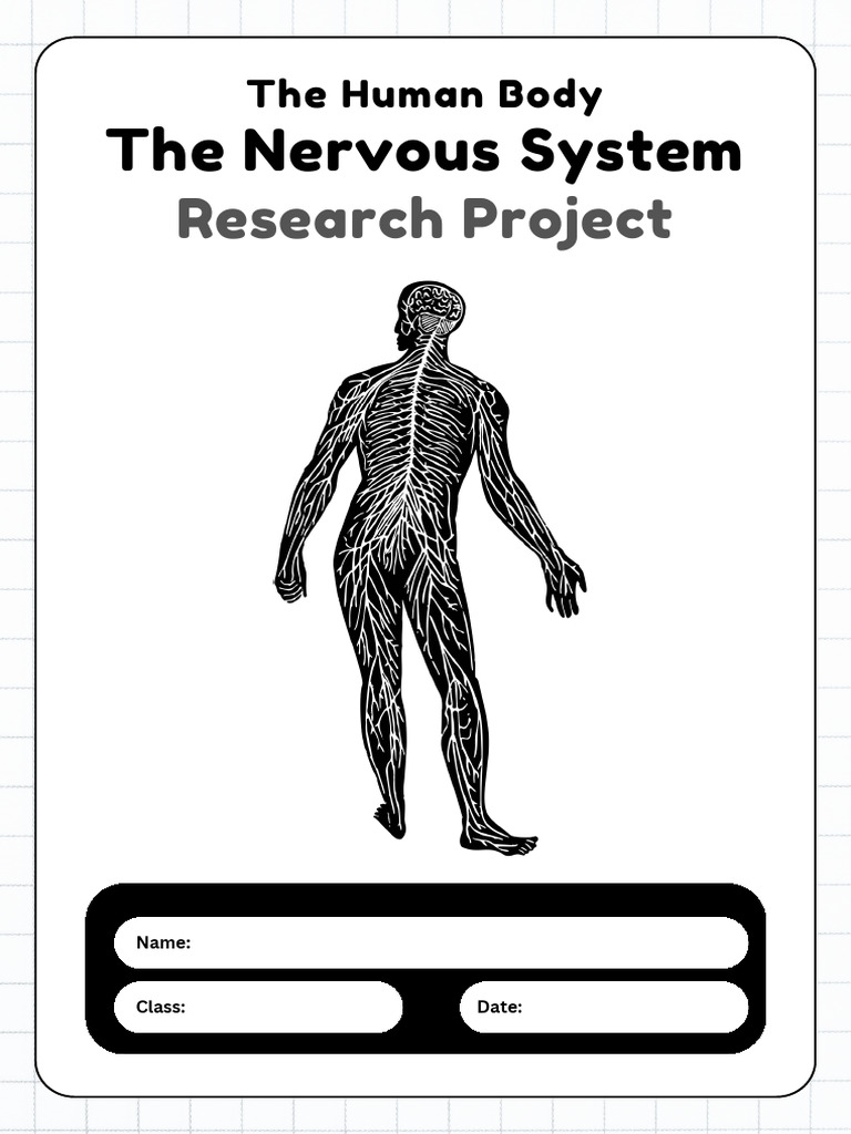 The Nervous System Research Project Worksheets in Black Fun Simple ...