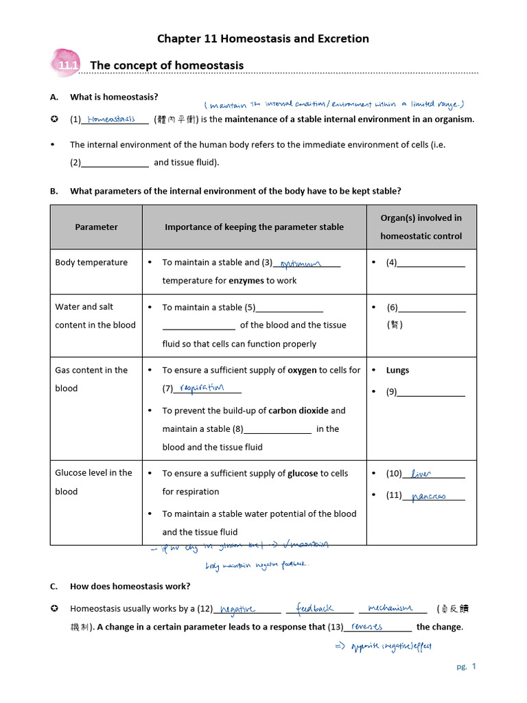 F4 - 11.1 Homeostasis and Excretion | PDF