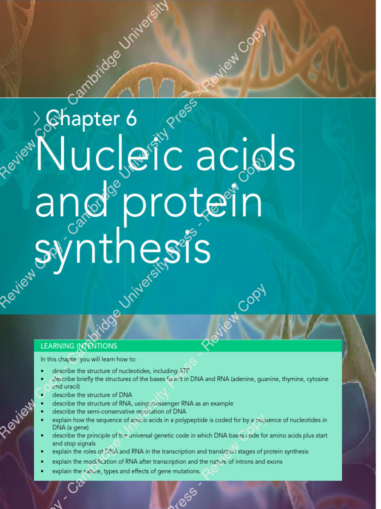 Nucleic Acids_A Level | PDF | Nucleotides | Nucleic Acids