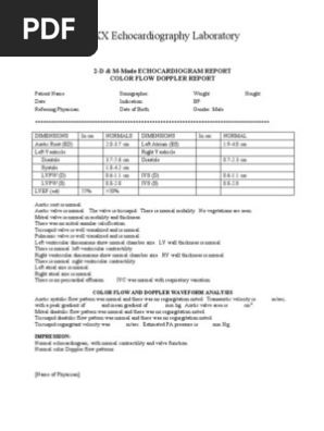 Echocardiogram Report