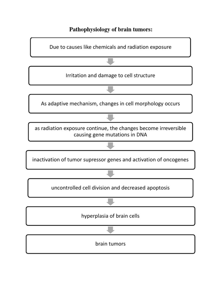 Pathophysiology of Brain Tumors