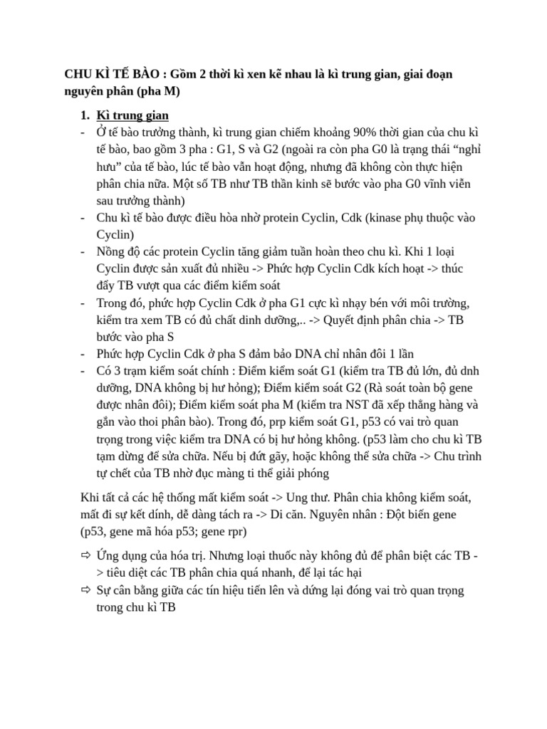 CHU K%C3%8C T%E1%BA%BE B%C3%80O | PDF