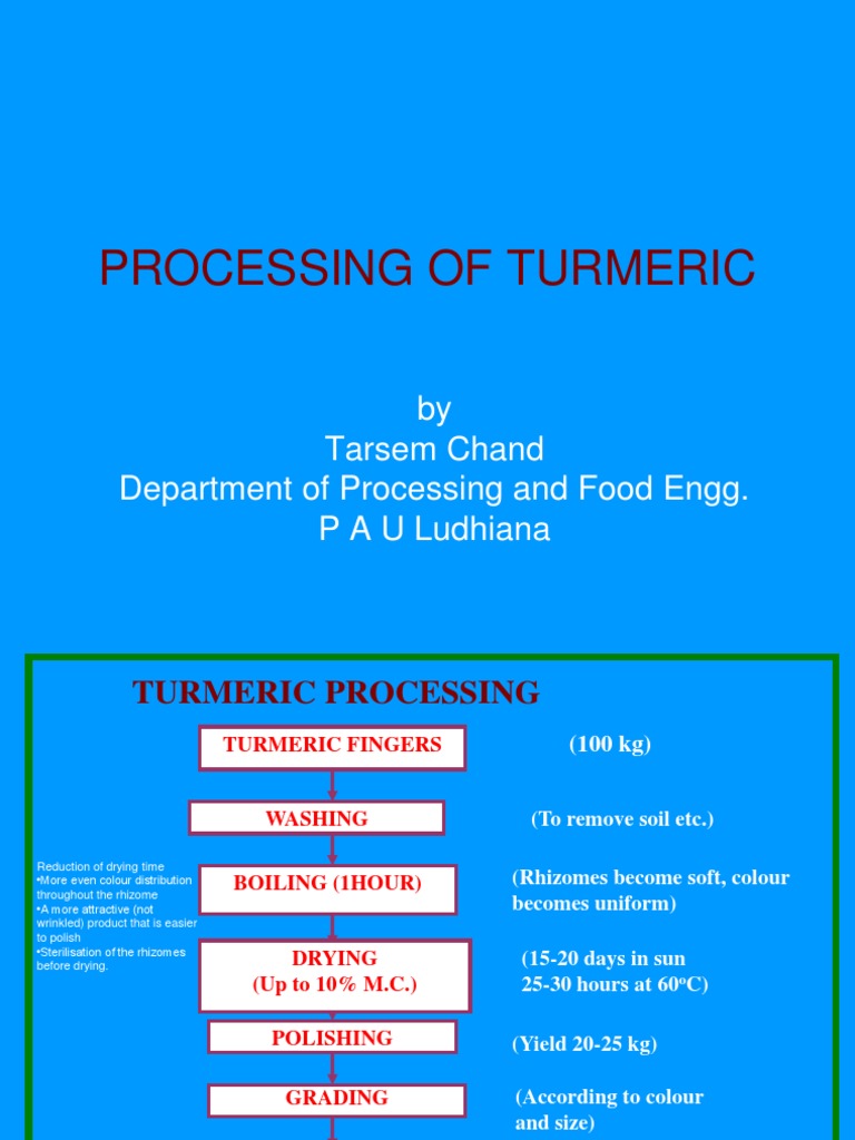 Processing of Turmeric | PDF | Turmeric | Packaging And Labeling