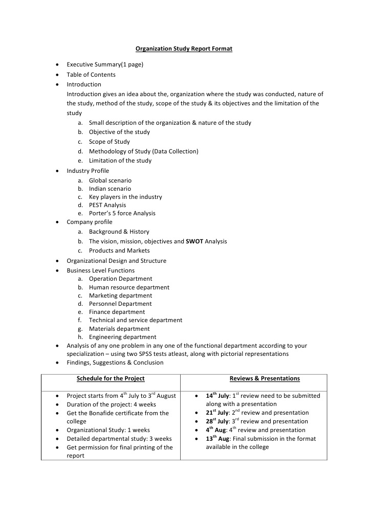 Organization Study Report Format | PDF