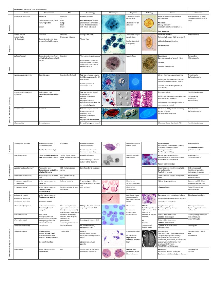 Medical Parasite Table | PDF | Immunology | Medical Specialties