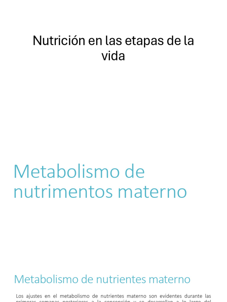 Nutrición en las etapas de la vida | PDF