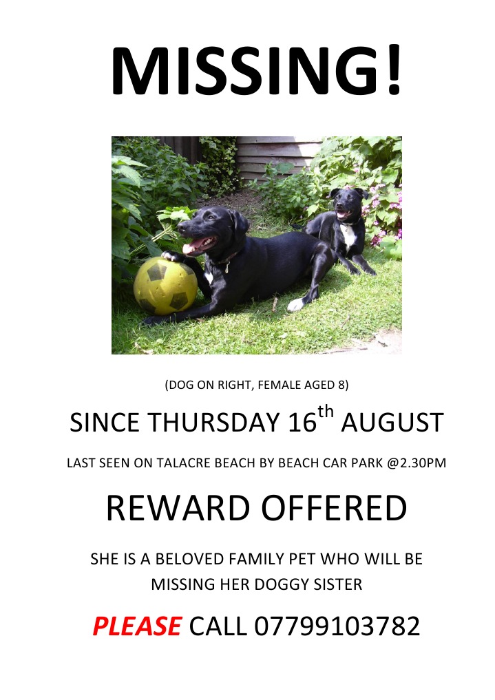 Missing Female Dog - Talacre Beach | PDF
