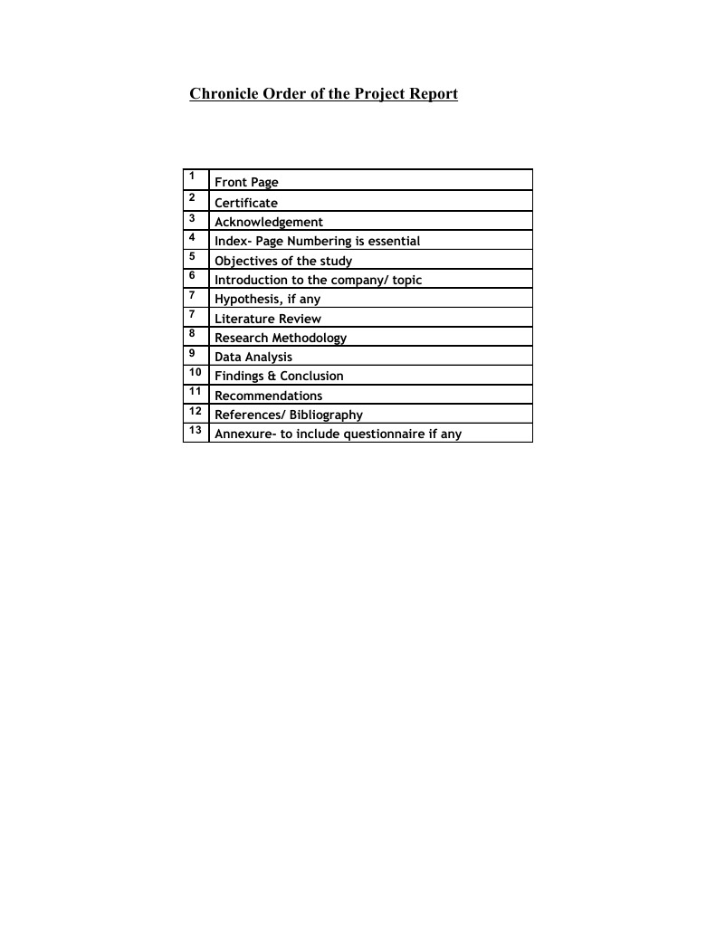 MBA Project Report Guide | PDF | Business