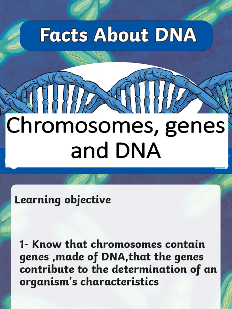 chromosomes ,genes and DNA | PDF | Cell Nucleus | Gene