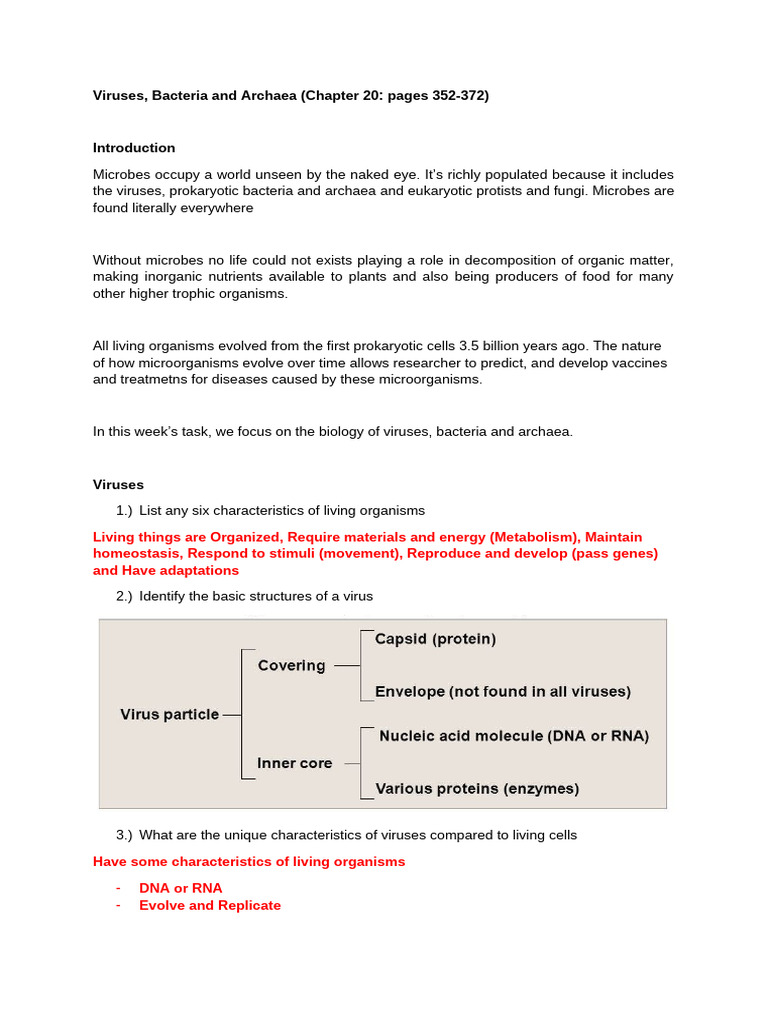 Task MEMO Viruses Bacteria and Archaea 1 pg 352-373 (2) | PDF | Virus ...