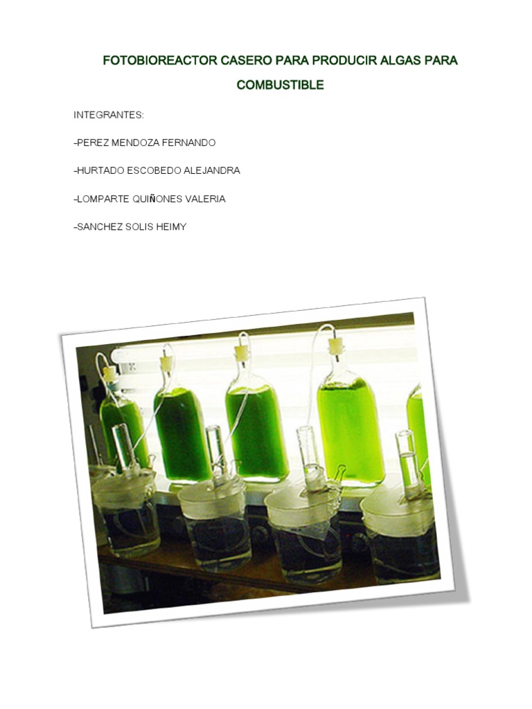 Fotobioreactor Casero para Producir Algas para Combustible | PDF ...