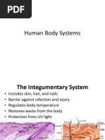 Human Body System-StudyGuide | PDF | Digestion | Human Digestive System