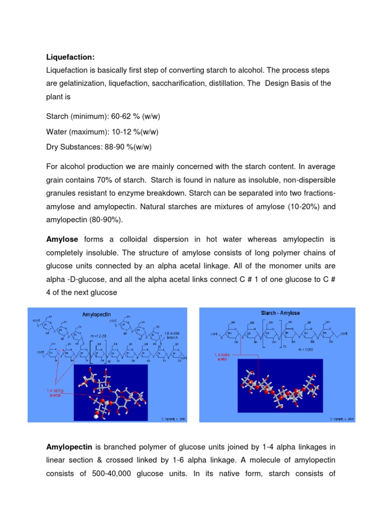 Liquefaction | PDF | Starch | Hydrolysis