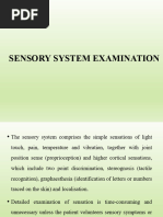 Nottingham Sensory Assessment Guide | PDF | Senses | Somatosensory System