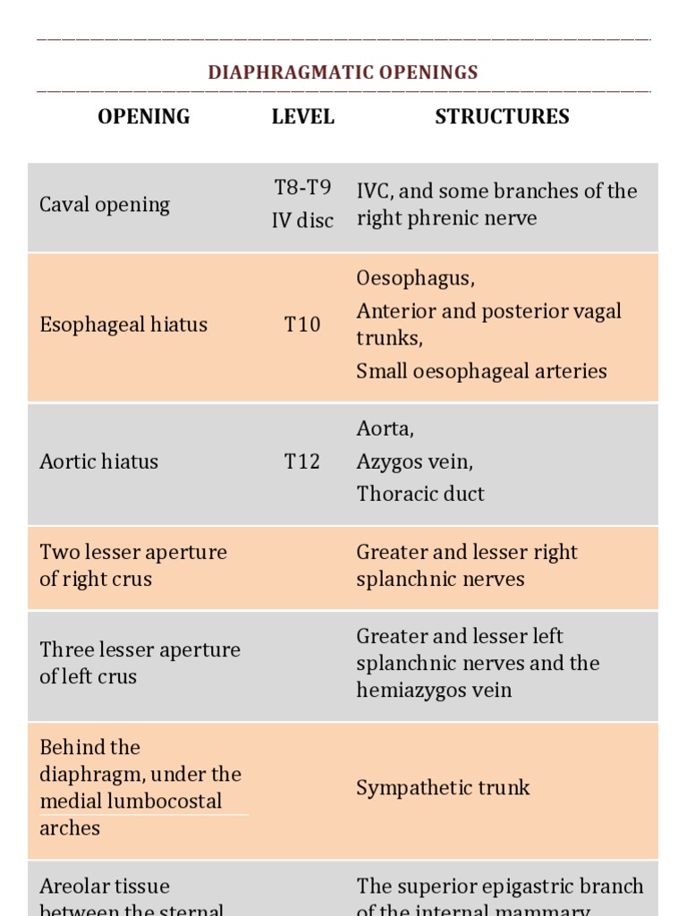 Diaphragm Openings | PDF