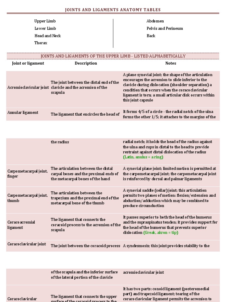 Joints and Ligaments Anatomy Tables | PDF | Knee | Vertebra