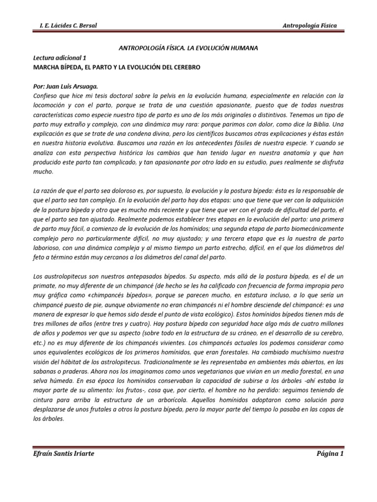 Marcha Bípeda El Parto y La Evolución Del Cerebro | PDF | Homo Sapiens ...