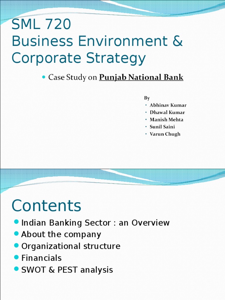 PNB Organizational Structure and Financials | PDF | Basel Ii | Reserve ...