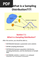 AP Statistics Chapter 7 Test | PDF