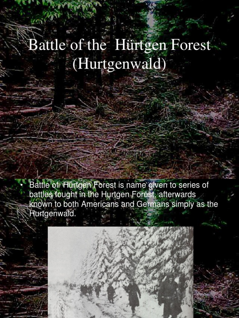 Battle of The Hurtgen Forest (Hurtgenwald) | Company (Military Unit ...