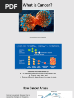 Endophytic vs Exophytic Tumors Explained | PDF