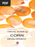 Understanding the Zadoks Growth Scale | PDF | Plant Morphology | Plant ...