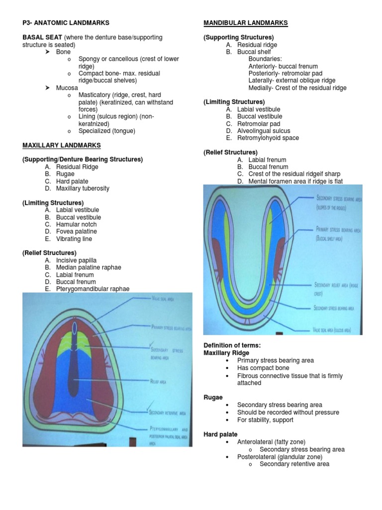 Retromylohyoid Space