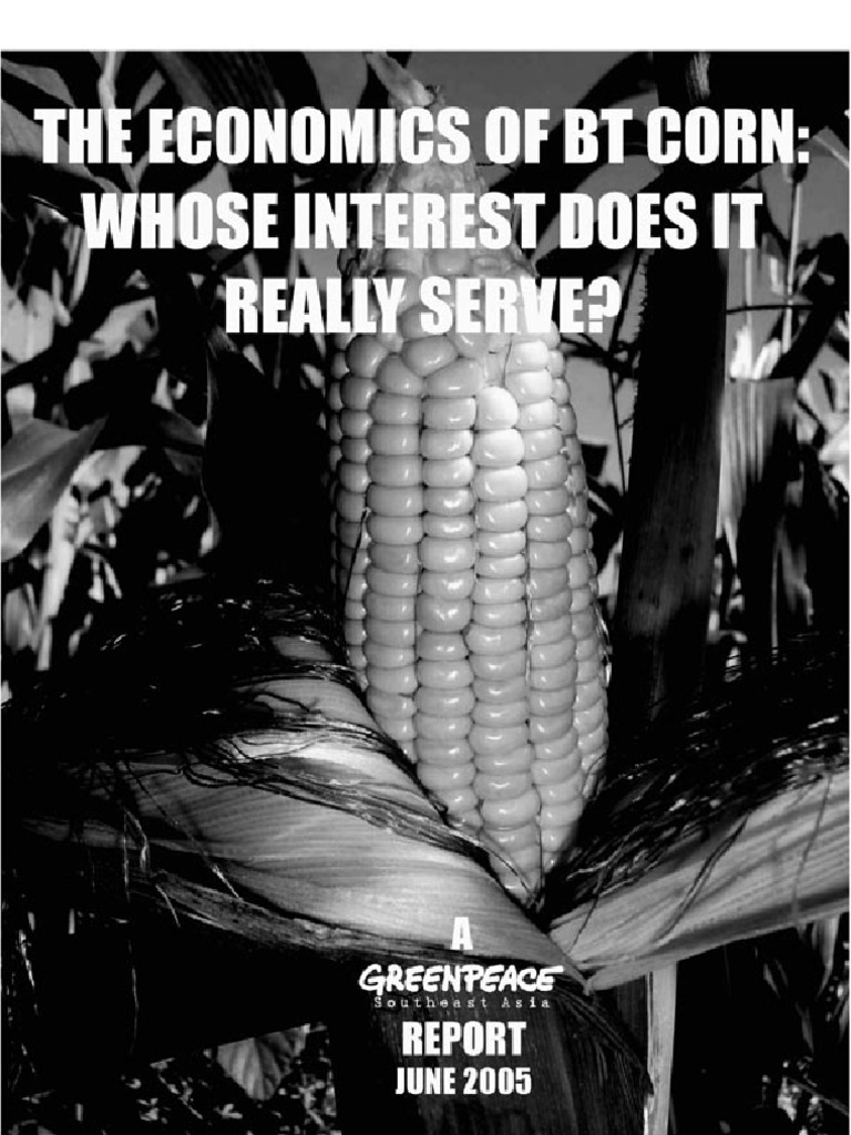 BT Corn in The Philippines-Ge-bteconomics | PDF | Genetically Modified ...