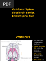 Ambient Cistern Anatomy Study | PDF | Anatomical Terms Of Location ...