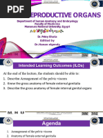 Anatomy of Female Reproductive Ligaments | PDF | Uterus | Ovary
