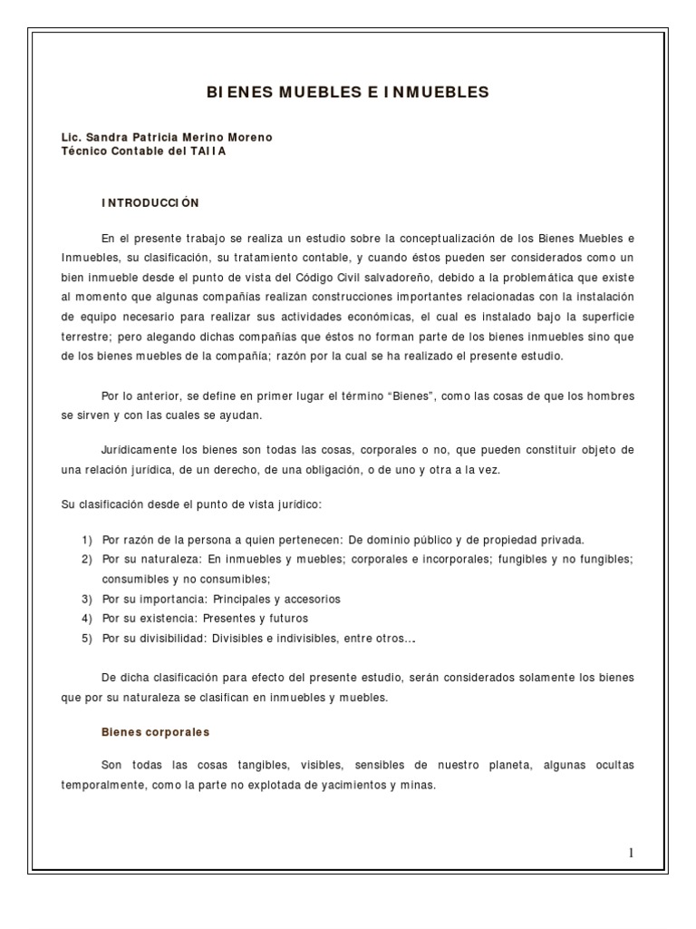 Bienes Muebles e Inmuebles | PDF | Propiedad | Contabilidad