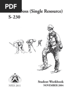 NWCG Task Book for Fire Positions | PDF | Incident Command System ...