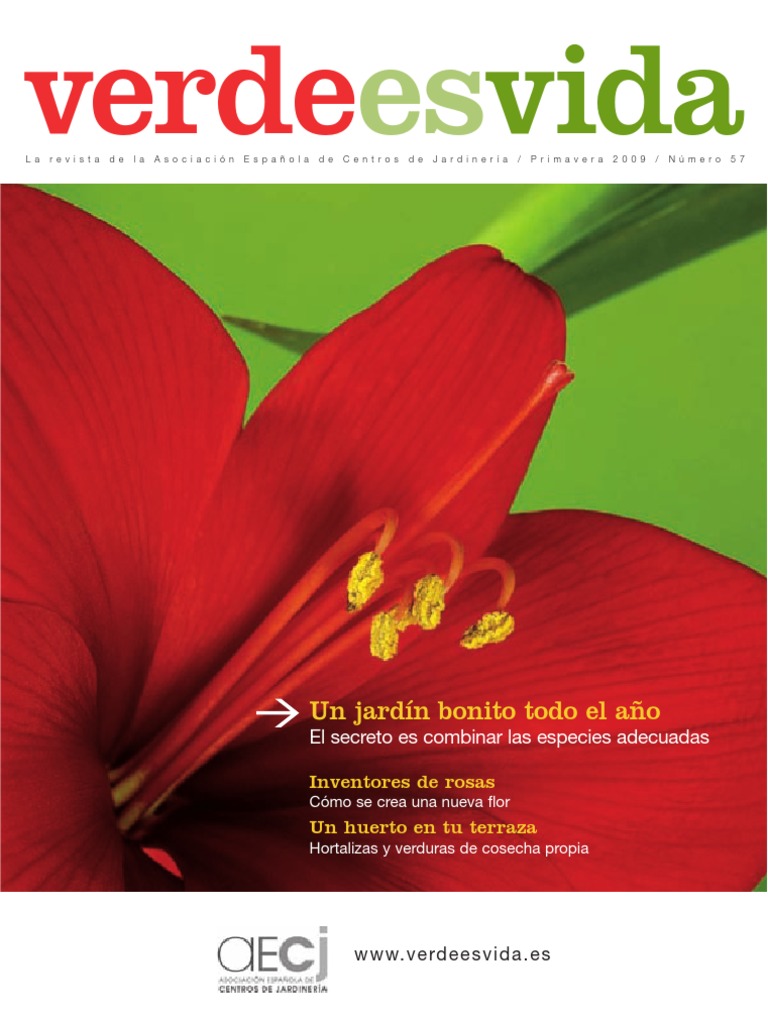 Verde Es Vida Magazine | PDF | Plantas | Arboles