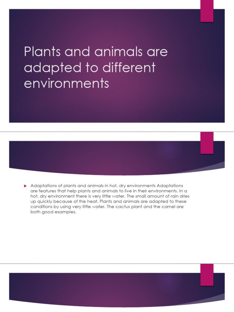 Plants and Animals Are Adapted to Different Environments | PDF