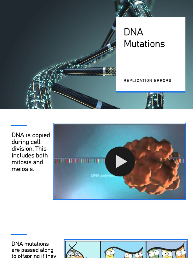2.0 - DNA Mutations - Replication Errors Slides | PDF