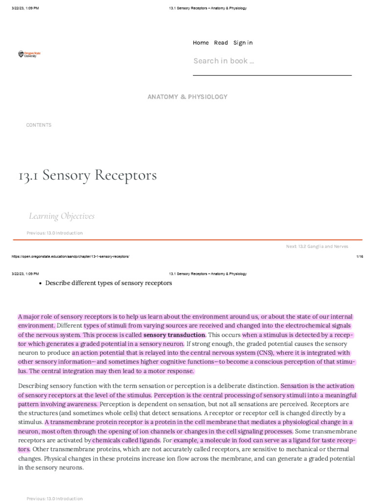 Unit 4 Sensory Receptors – Anatomy & Physiology | PDF
