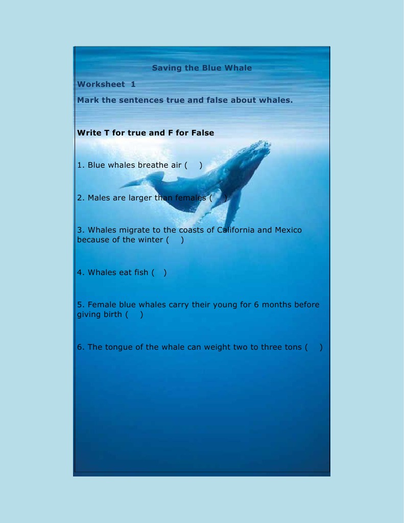 Blue Whale Facts: True or False? | PDF | Science & Mathematics