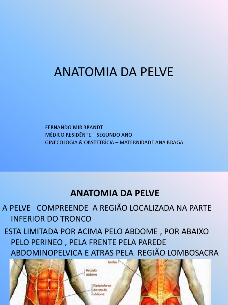 Anatomia Da Pelve | Download grátis PDF | Vagina | Aparelho geniturinário
