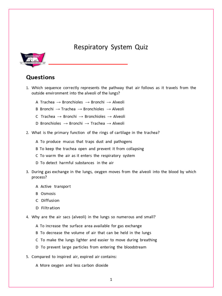 Respiratory System Quiz | PDF | Respiratory System | Respiratory Tract