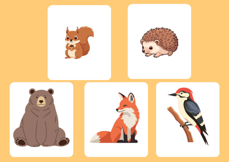 Forest Animals Kindergarten Flashcards in Yellow Illustrated Style | PDF