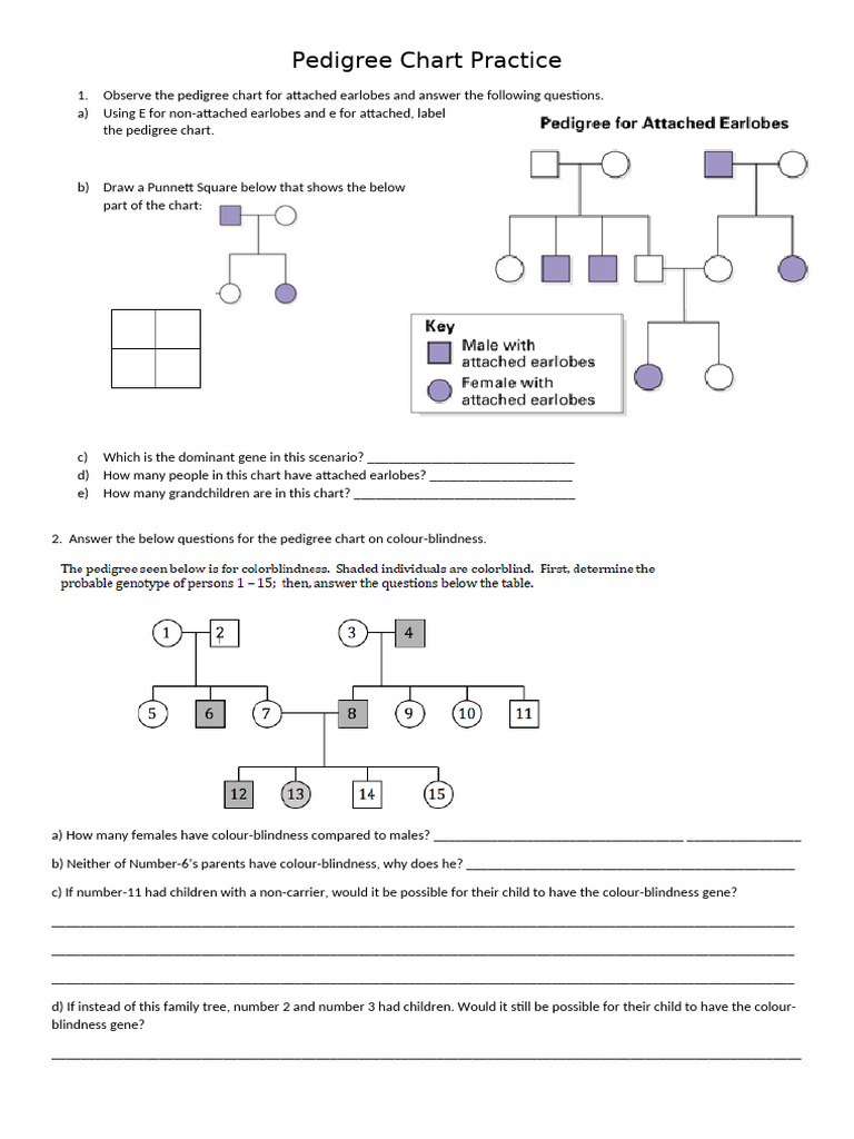 [W] Pedigree Chart Practice | PDF