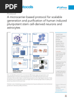 InFusion Cloning User Manual | PDF | Polymerase Chain Reaction ...